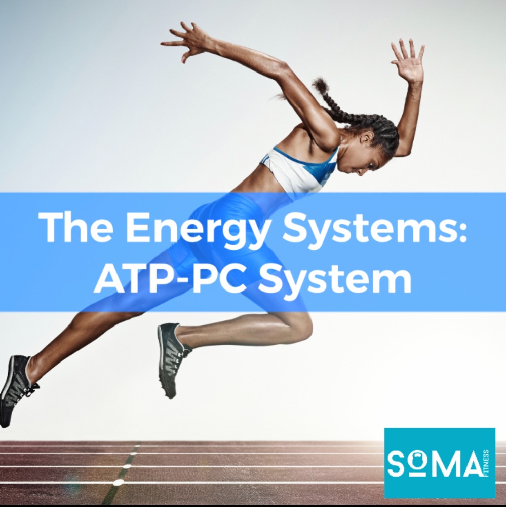 The Energy Systems ATP PC System Soma Fitness Personal Training